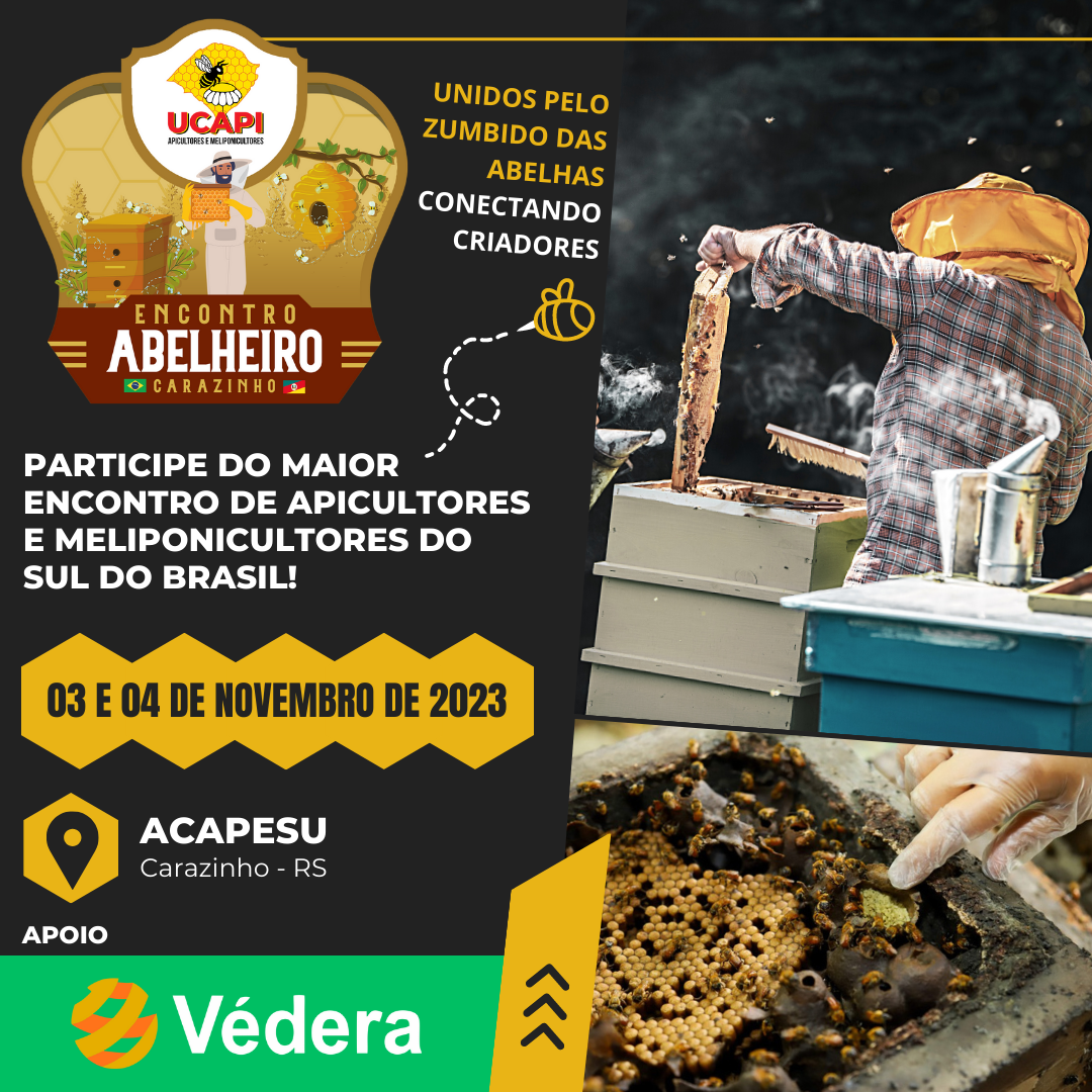 Védera e Ucapi se unem para criar Encontro Abelheiro em Carazinho ...